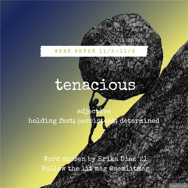 单词详解 | tenacious - 英语接口