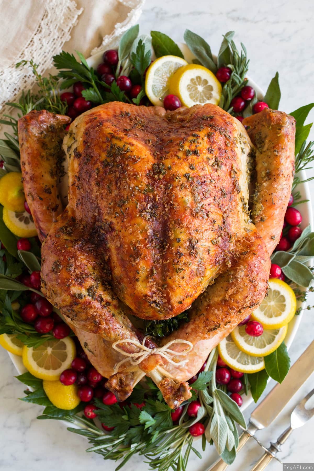 单词详解 | roast - 英语接口